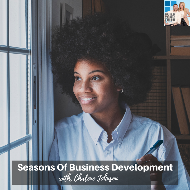 Seasons of Business Development - CHALENE JOHNSON